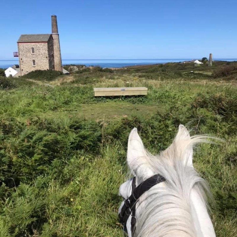 Homepage | Goonbell Riding Centre