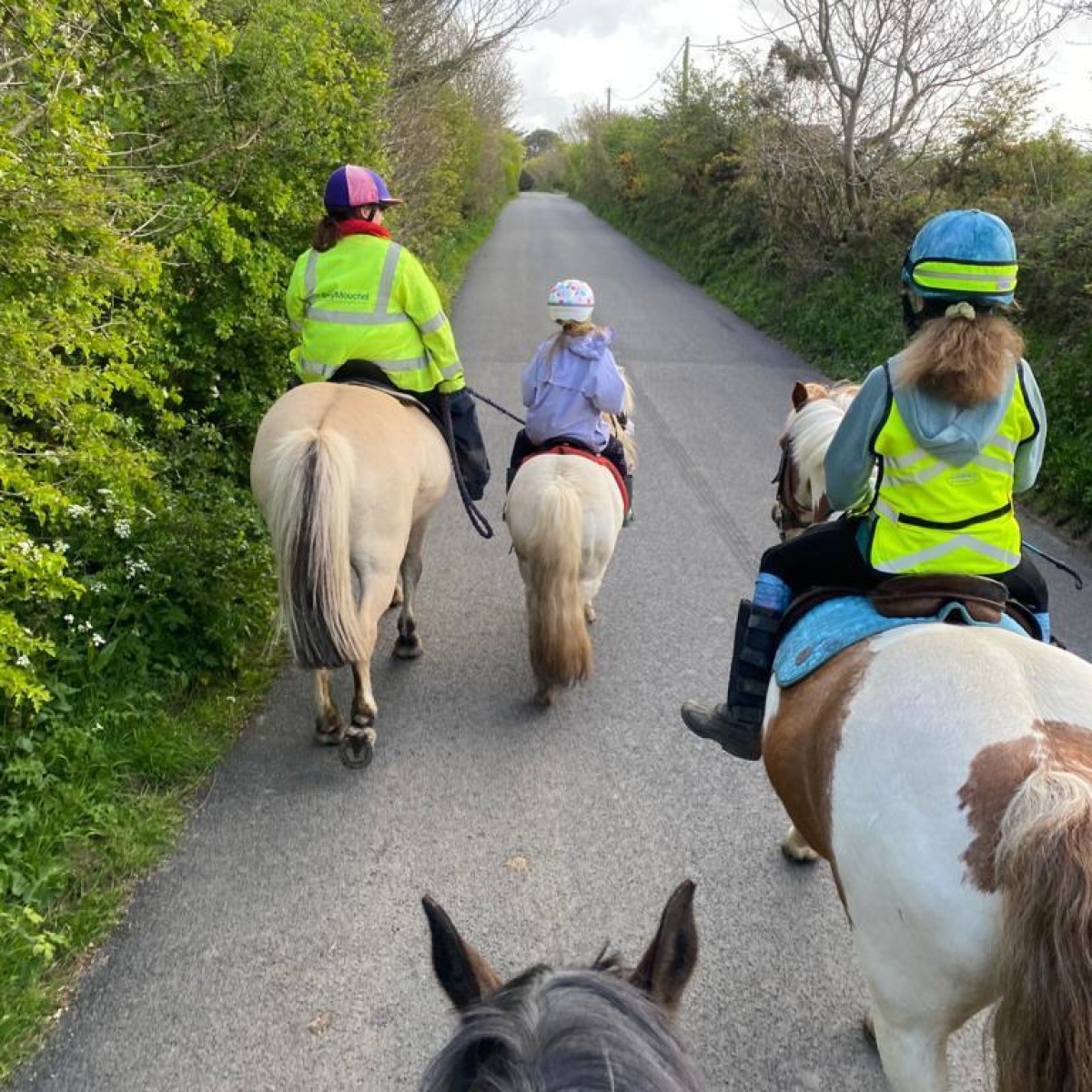 Homepage | Goonbell Riding Centre