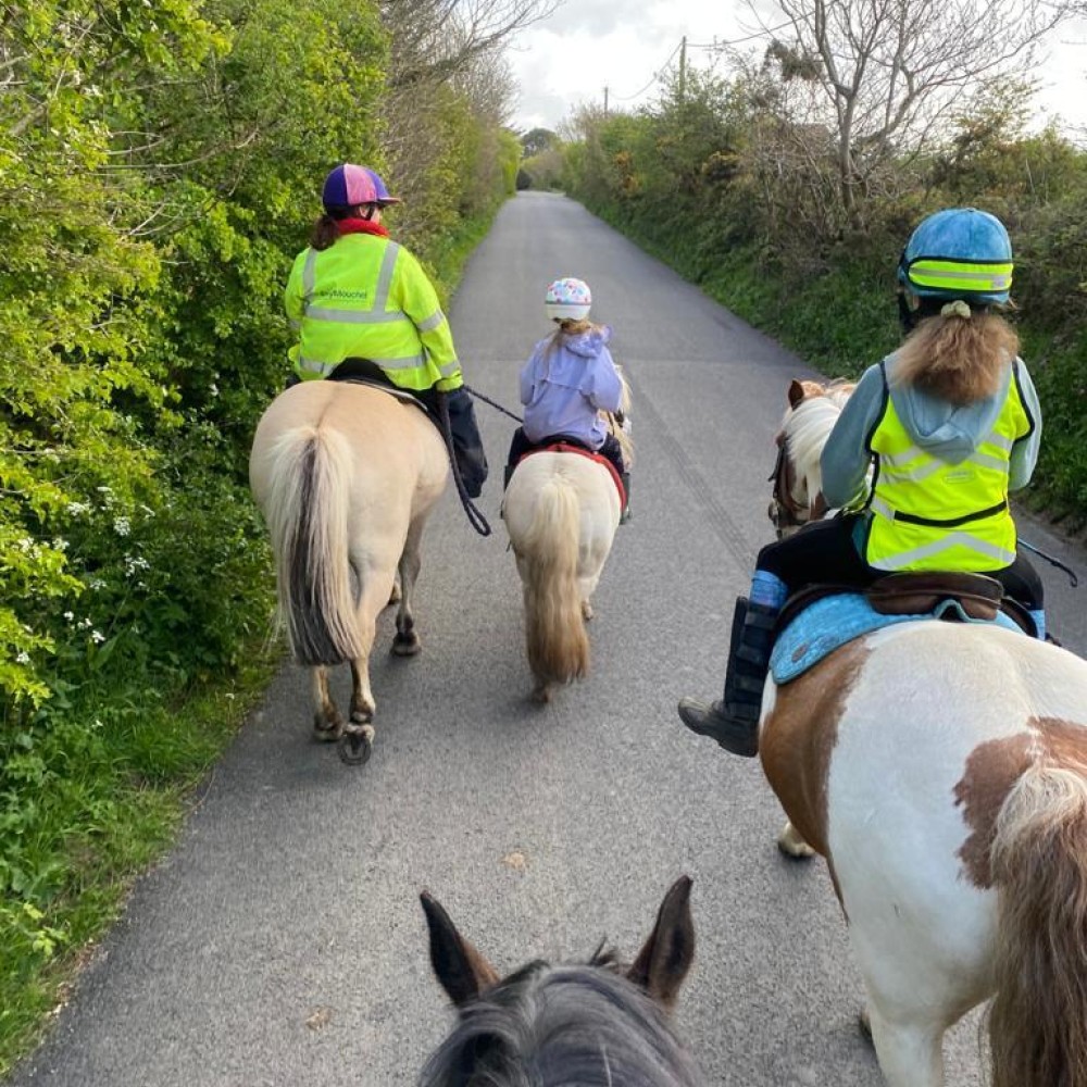 Homepage | Goonbell Riding Centre