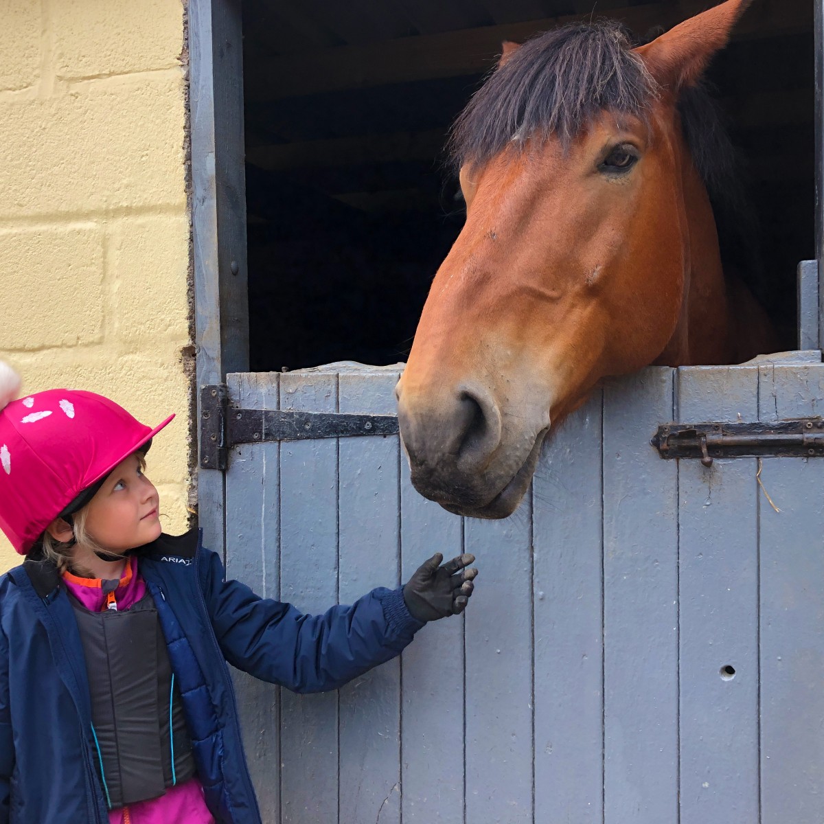 Homepage | Goonbell Riding Centre
