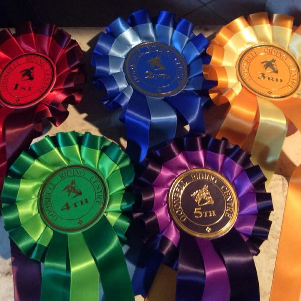 Homepage | Goonbell Riding Centre